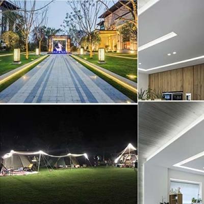 Cina 2835 LED Chip App Controlled Garden Light Strip with 220V and IP67 Waterproof in vendita