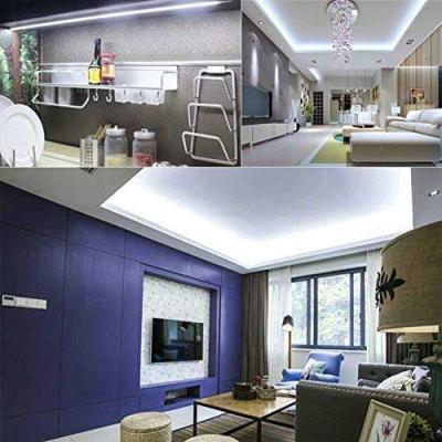 Cina 2835 LED Chip App Controlled Garden Light Strip with 220V and IP67 Waterproof in vendita