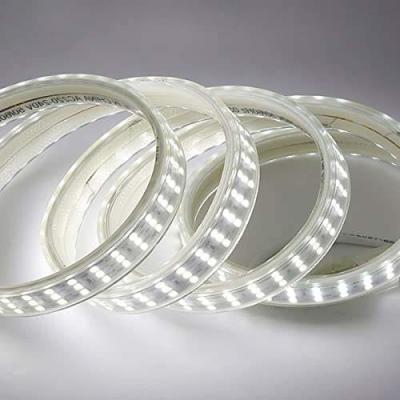 Cina 2835 LED Chip App Controlled Garden Light Strip with 220V and IP67 Waterproof in vendita