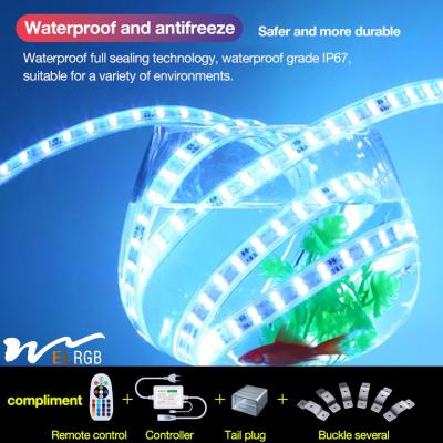 Cina IP65 Waterproof 180LEDs/m Color Changing LED Light Strip for Lighting Solutions Service in vendita