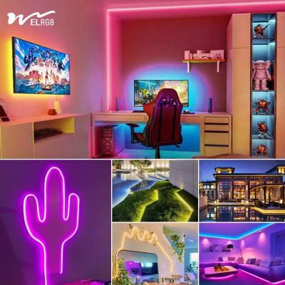 Cina 85lm/w Lamp Luminous Efficiency Remote Controlled LED Strip Light for Outdoor Spaces in vendita