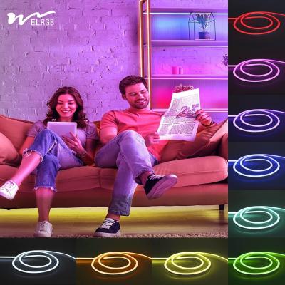 Cina 85lm/w Lamp Luminous Efficiency Remote Controlled LED Strip Light for Outdoor Spaces in vendita