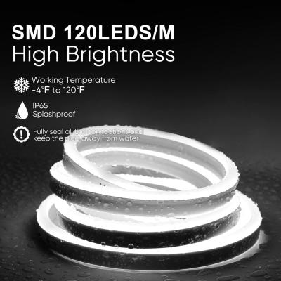 Cina 85lm/w Lamp Luminous Efficiency Remote Controlled LED Strip Light for Outdoor Spaces in vendita