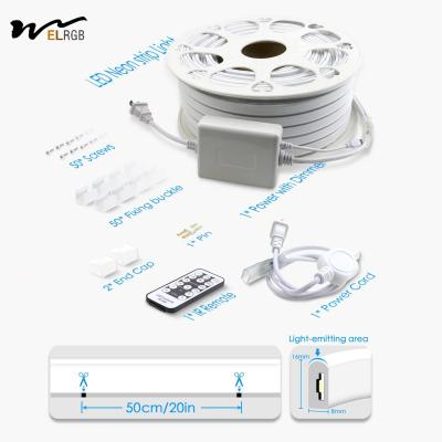 Cina 85lm/w Lamp Luminous Efficiency Remote Controlled LED Strip Light for Outdoor Spaces in vendita