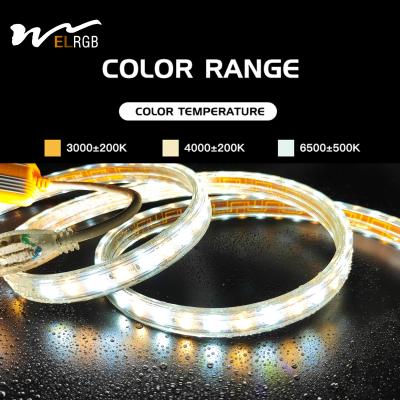 China 110V 220V LED Strip Light Outdoor Waterproof Dual Color White and Warm White Competitive Te koop