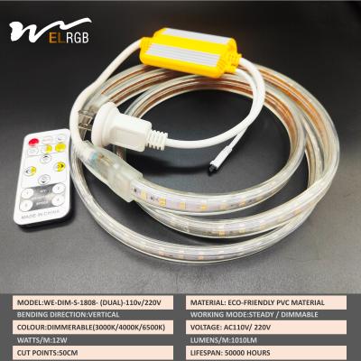 China 110V 220V LED Strip Light Outdoor Waterproof Dual Color White and Warm White Competitive Te koop