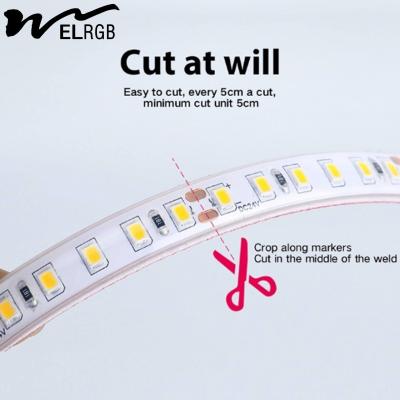 China IP68 Weatherproof Dimmable 12V/24V LED Light Strip with 50000 Working Lifetime and CRI 90 for sale