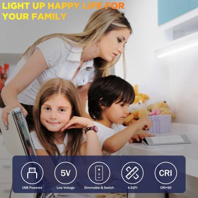 Cina 480 LED USB COB Strip Light Kit Waterproof and Remote Control for Holiday Lighting in vendita