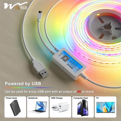 Cina Flexible 6.56 ft / 2 m LED Tape Light with Music Mode Control USB Connection and More in vendita