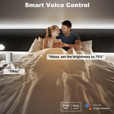 中国 Smart White COB Led Strip Light with App and Remote 227g IP20 3000K Bright Warm White 販売のため