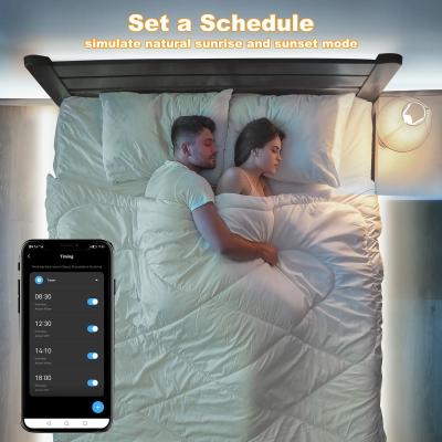 中国 Smart White COB Led Strip Light with App and Remote 227g IP20 3000K Bright Warm White 販売のため