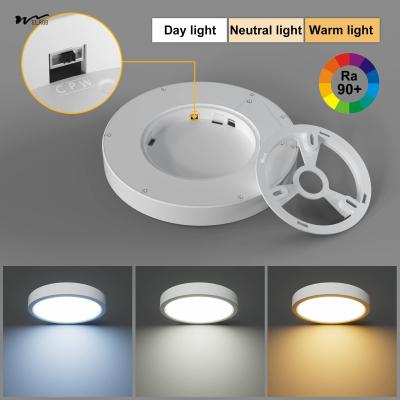 Cina 12W LED Modern Style Lampada a soffitto piatto LED Rotonda Piccola Lampada a soffitto in vendita
