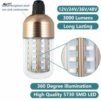China 12V 30W IP68 Onderwater viszoeklamp Plastic Aluminium LED Nachtvisserijlamp Te koop