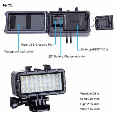 Cina Luce video LED impermeabile Alta potenza Dimmabile Riempire Luce notturna per immersioni subacquee in vendita