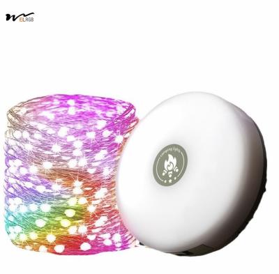 Cina 32.8ft Camping Lampade a corda impermeabili Lampade esterne per campeggio essenziali 2- in vendita