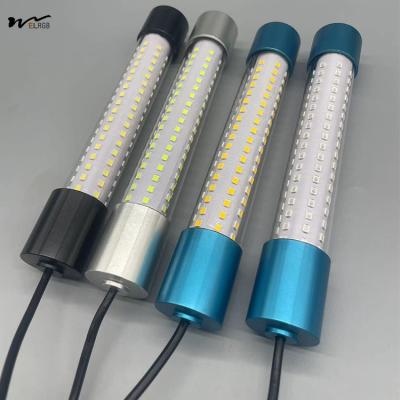 Cina 2V LED Fish Tank Lamp Lure Fish Lights in giallo/bianco/azzurro/verde 1500nm lunghezza d'onda 3- in vendita