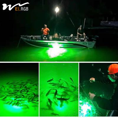 Cina 50000 ore di durata di vita 12V lampada a LED per la pesca dei calamari sottomarini in vendita