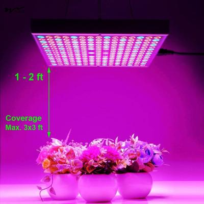 中国 成長ライトルーム 75W LED 植物成長ランプ 225 LEDs UV IR 赤 青 全スペクトル電球パネル 販売のため