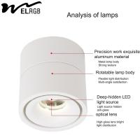 China Remote Control Switch Mode LED Cylindrical COB Open-Mounted Downlights for Smart Home for sale