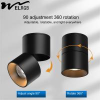 China Remote Control Switch Mode LED Cylindrical COB Open-Mounted Downlights for Smart Home for sale