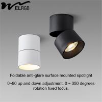 China Remote Control Switch Mode LED Cylindrical COB Open-Mounted Downlights for Smart Home for sale