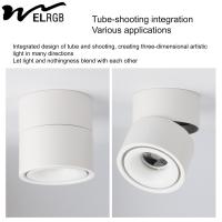 China Remote Control Switch Mode LED Cylindrical COB Open-Mounted Downlights for Smart Home for sale