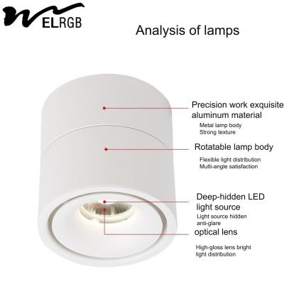 China Household LED Cylindrical Light for Onsite Metering and Smart Home Lighting Solutions for sale