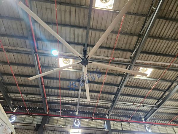 Ventilatore HVLS grande da 24FT 7.3m, buone prestazioni di ventilazione, ampia area di copertura