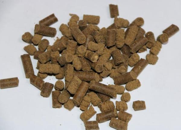 Quality Livestock Feed Pellet Making Machine Organic Fertilizer Flat Die Granulator for sale
