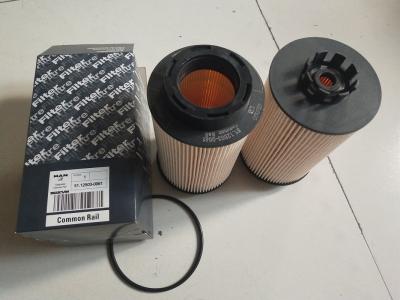 Cina filtro del carburante diesel 12503-0061 dal camion 1kg con la dimensione di 15×15×28cm in vendita