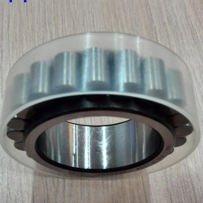 RSL183012 Full Complement Cylindrical Roller Bearing SL183012 Digging Machine Reducer Bearing