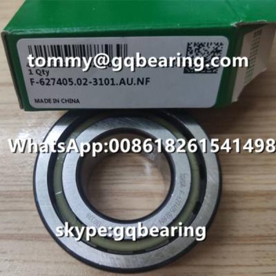 Cina Cage in acciaio cuscinetto a rulli cilindrico VW AG INA F-627405.02 PEER in vendita