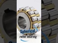 500752307 Nylon Cage Double Row Eccentric Roller Bearing 35x86.5x50mm