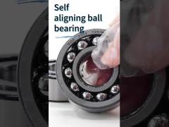 Double Row 2304-TN9 2304-M 2304-2RS-TVH 2304-2RS-TN 2305 2304 Self-aligning Ball Bearing