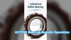 617YSX Nylon Cage Cylindrical Roller Bearing | High-Radial Load Industrial Bearing 60x113x31mm
