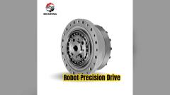 FSG Harmonic Drive Bearing for Robots