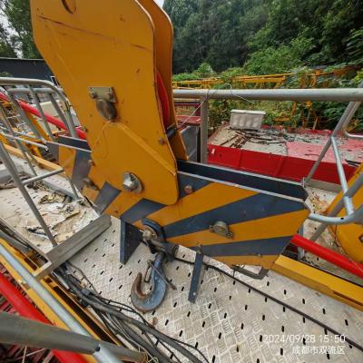 Cina Gru ZOOMLION W6013-6A Usata per Edilizia di Seconda Mano con Punta Piatta in vendita