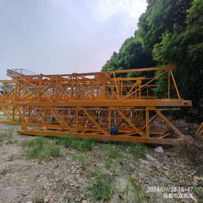 Cina Gru ZOOMLION W6013-6A Usata per Edilizia di Seconda Mano con Punta Piatta in vendita