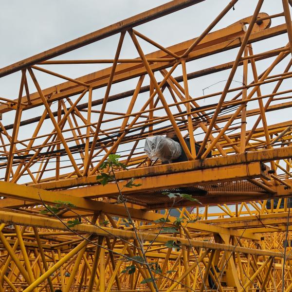 Quality 6010-8 Used ZOOMLION Tower Crane 6Ton Lifting Old Building Site Crane for sale