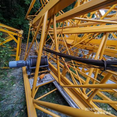 Cina ZOOMLION 6515-10 Gru a Torre Usata per Costruzioni 10 Tonnellate Anno 2020 in vendita