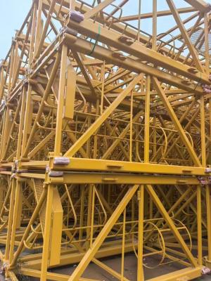 Cina Gru a torre a testa piatta usata anno 2022 Zoomlion TC6013-8, gru con braccio di 60m in vendita