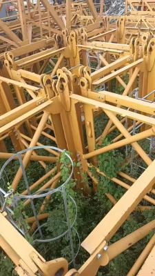 Cina 2021 Anno usato Zoomlion Tower Crane WA6012-6A 60m Boom Tower Crane in vendita