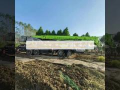 Popular Choice Used Zoomlion 55 Ton Truck Crane High Quality Second Hand Weichai Engine Used Crane