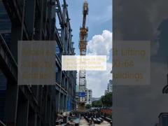 Mobile Lifting Tower 25t Lifting Cpacity Zoomlion D1200-64 Cranes for High-Rise Buildings