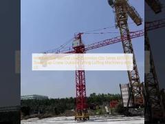 Hot Sale The Second Used Zoomlion Qtz Series 6013 8t Tower Cap Crane Outdoor Lifting Luffing Machinery with CE