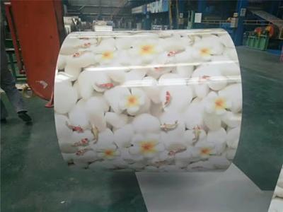 China Gedrukt staal Z70 0,55*1200mm Gebruikt voor huishoudelijke apparaten for sale