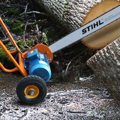 Cina Tagliatrice di alberi di legno portatile da 4000W per la motosega per il taglio del legno forestale in vendita