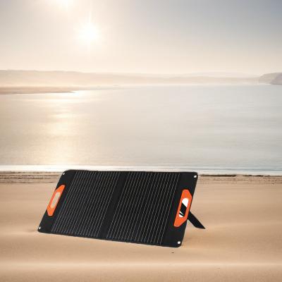 Cina 220,8% di efficienza di conversione pannello solare 50W 60W 100W 200W per piccoli sistemi solari in vendita