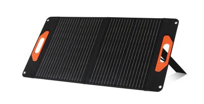 Cina 220,8% di efficienza di conversione pannello solare 50W 60W 100W 200W per piccoli sistemi solari in vendita