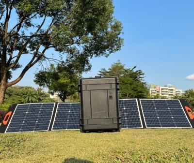 Cina Centrale elettrica portatile ad alta capacità a onda sinusale pura AC 220V per casa o campeggio all'aperto 3000wh in vendita
